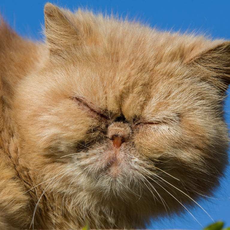 Feeling Grumpy? Try This - Integrative Counsel