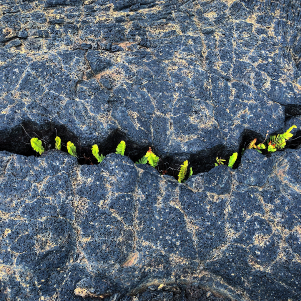 6 Signs of a Resilient Person - Integrative Counsel