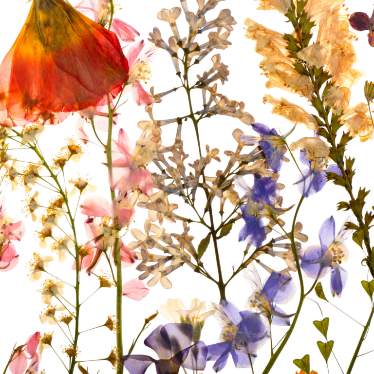 4 DIY Art Therapy Activities For Spring - Integrative Counsel